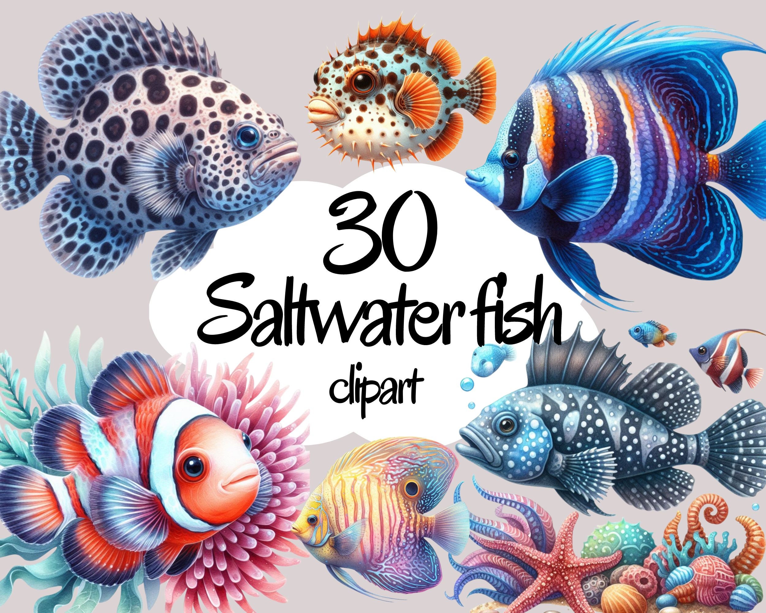 Watercolor Saltwater Clipart Ocean Fish Illustrations Sea Life ...