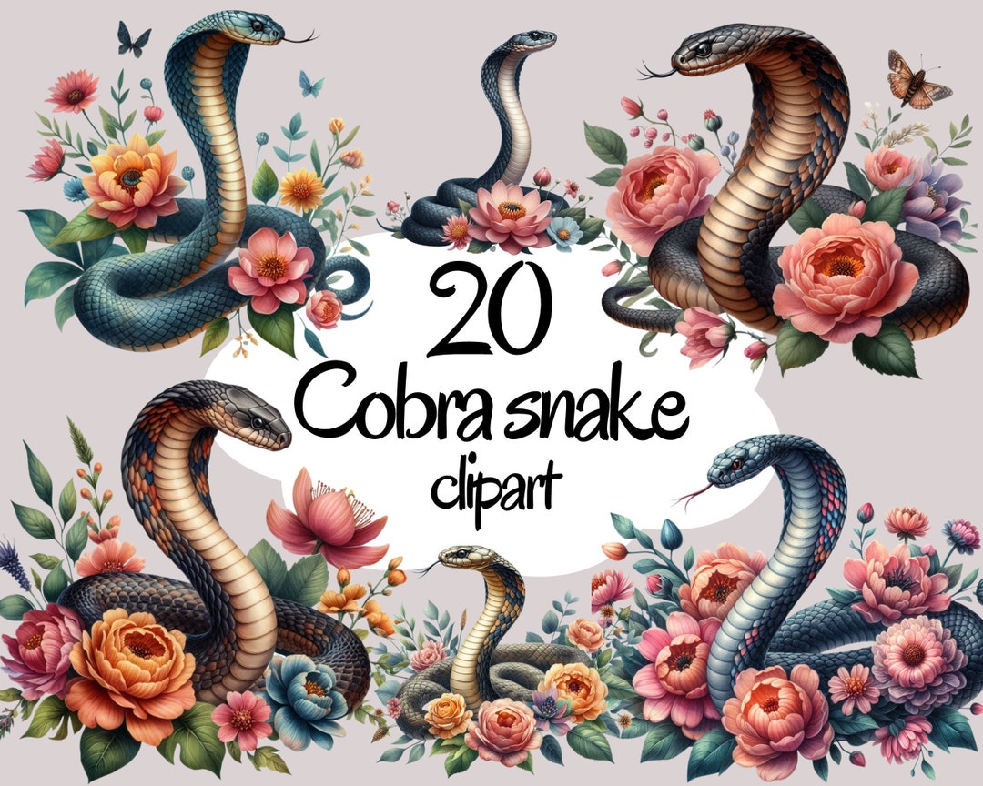 Cobra Snake Clipart Watercolor Snake Clipart Snake Png Cute Snake ...
