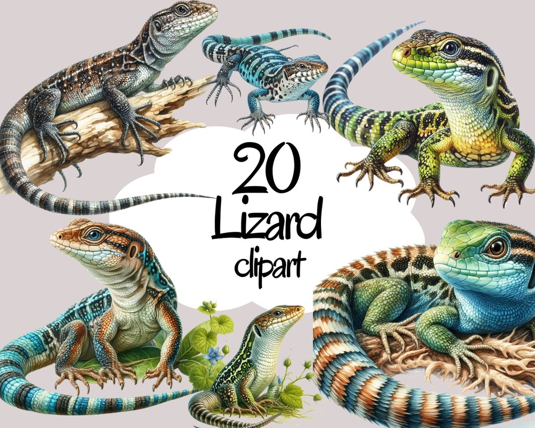 Lizard Clipart Watercolor Reptile Clipart Lizard Png Cute Lizard ...