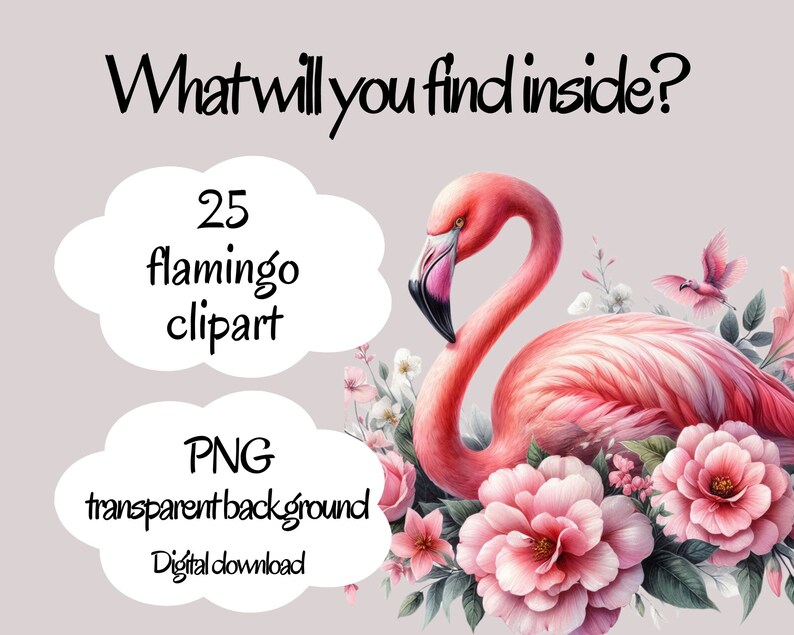 Flamingos Watercolor Pink Clipart Bundle PNG Flamingo Images, Floral ...