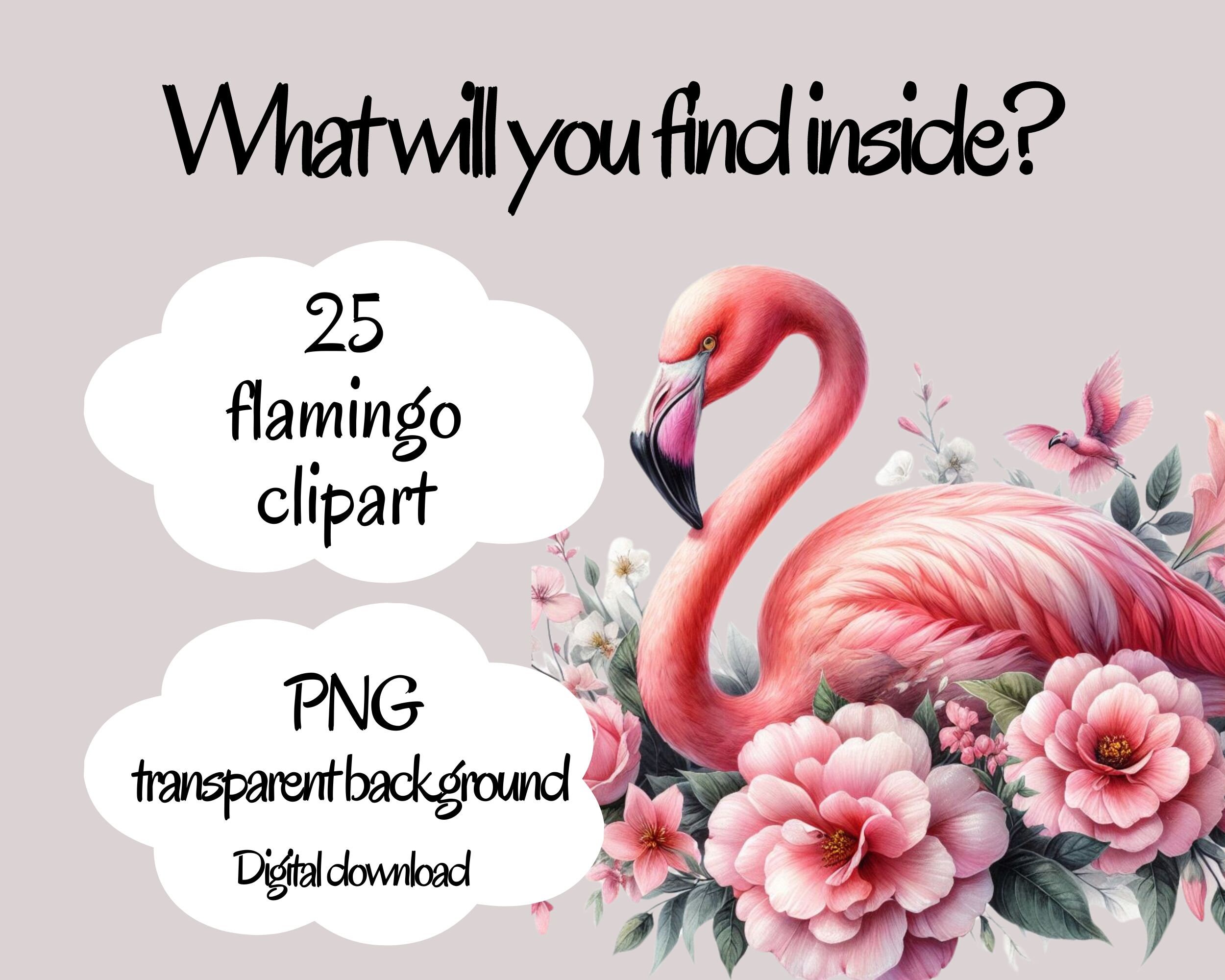 Flamingos Watercolor Pink Clipart Bundle PNG Flamingo Images, Floral ...