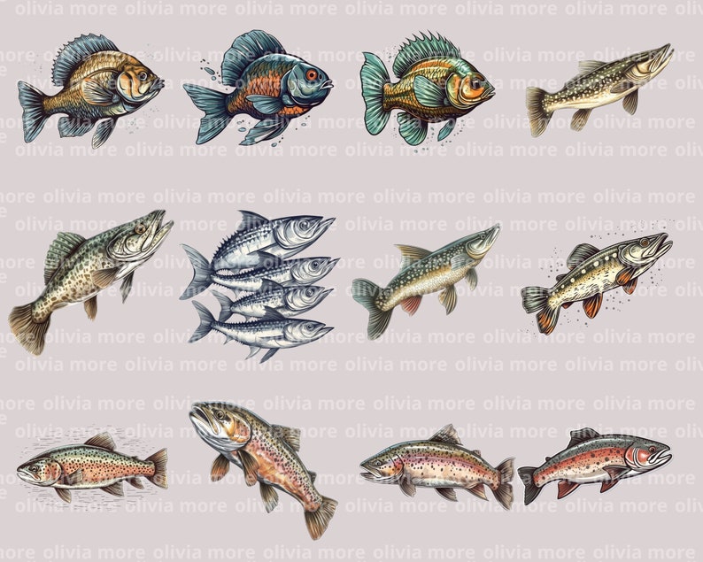 Freshwater Fish Clipart, Fish Clipart, Bass Fish, Printable Watercolor ...
