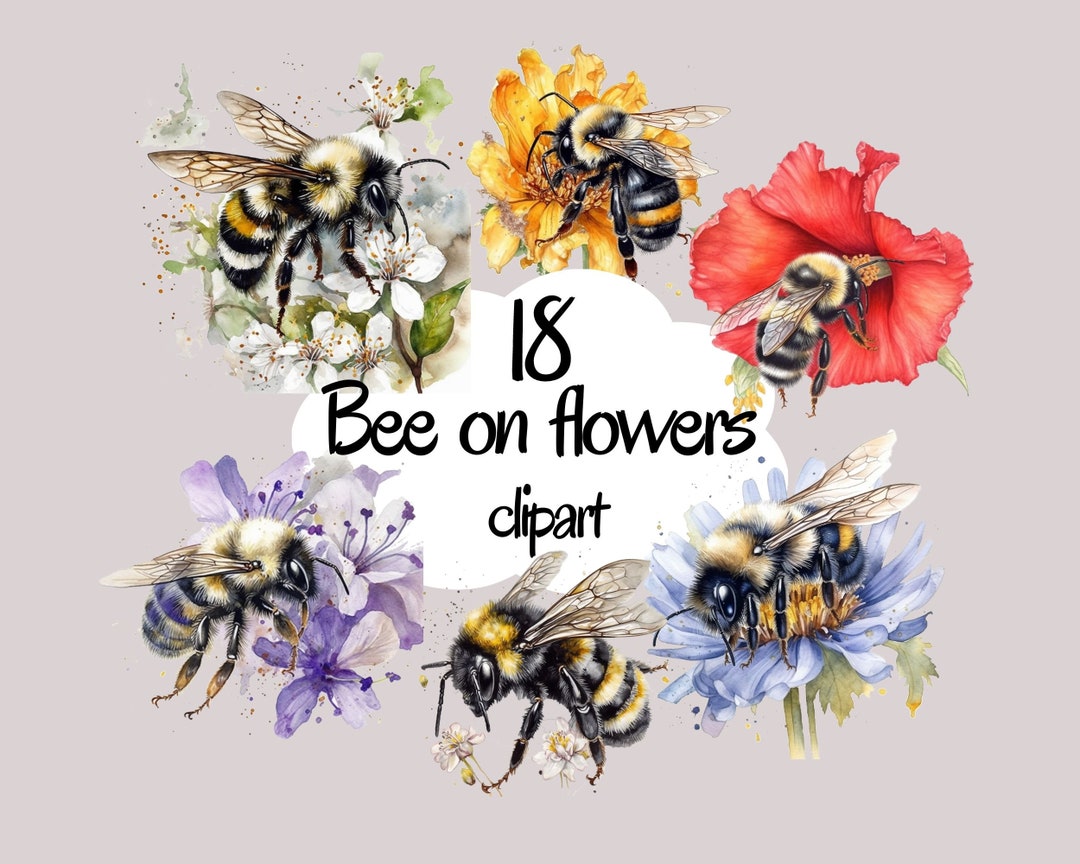 Watercolor Floral Bee Clipart Cute Bees With Flowers and Leaves in PNG ...