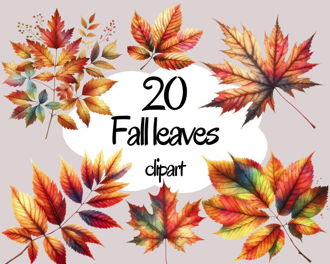 Autumn Leaves Fall Leaves Clipart Bundle Transparent Background Digital ...