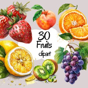 Watercolor Fruits PNG Clipart Bundle, Apple, Lemon, Orange Fruits ...