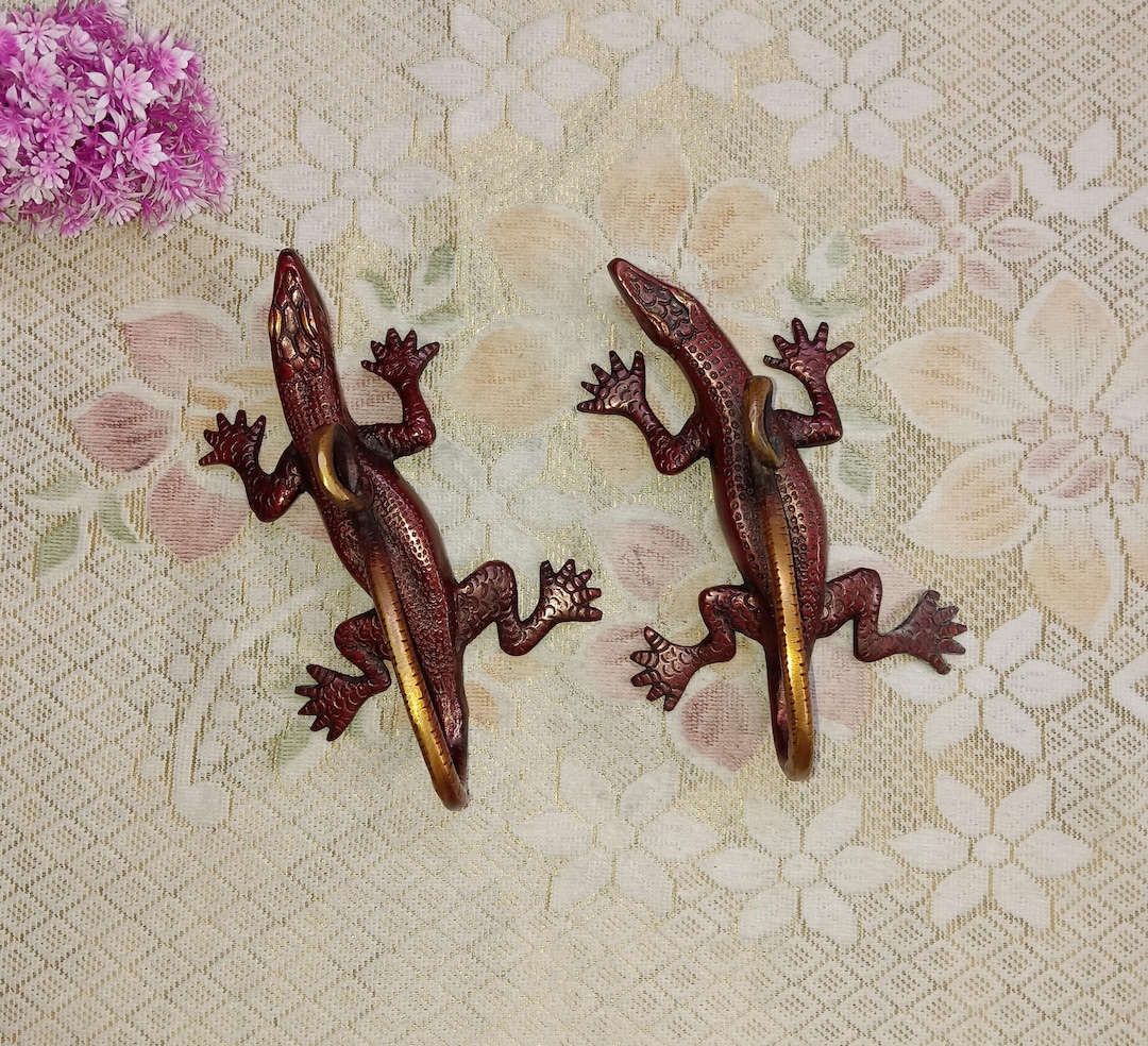 Komodo Dragon Design Door Pull Set | Brass Reptile Creature Themed Home ...