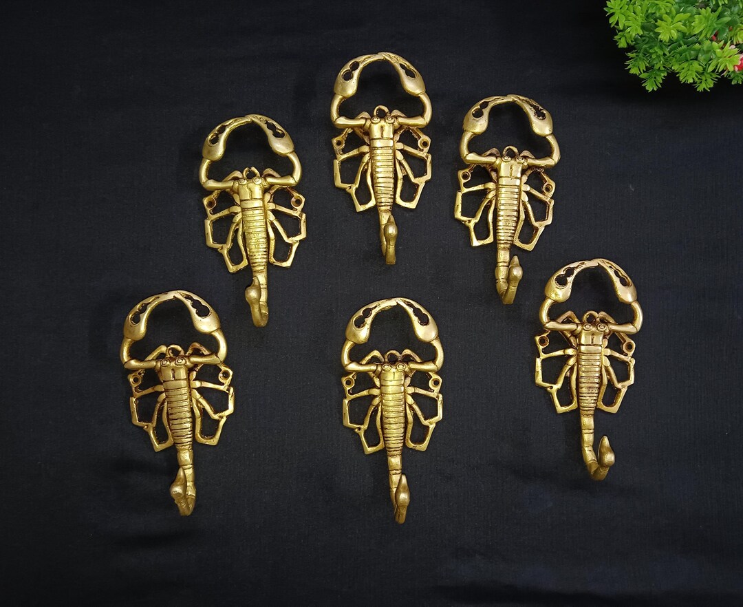Brass Scorpion Wall Hooks: Insect Hangers, Set of 6 - Etsy