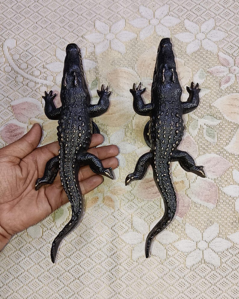 Crocodile Round Base Handle Door Hardware Brass Saltwater Alligator ...