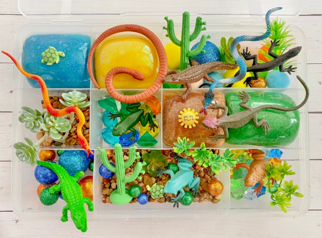 Reptile Desert Play Dough Kit, Boys Playdough Set, Gift Frog Kit, Sensory Kit, Toddler Present ...
