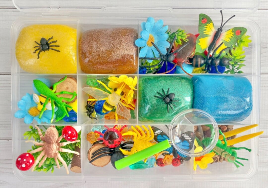 Bugs Play Dough Kit, Boys Playdough Set, Gift, Insect Kit, Sensory Kit ...