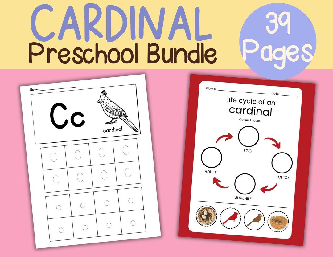 Cardinal Preschool Learning Pack: Abcs, Counting, Life Cycle (PDF ...