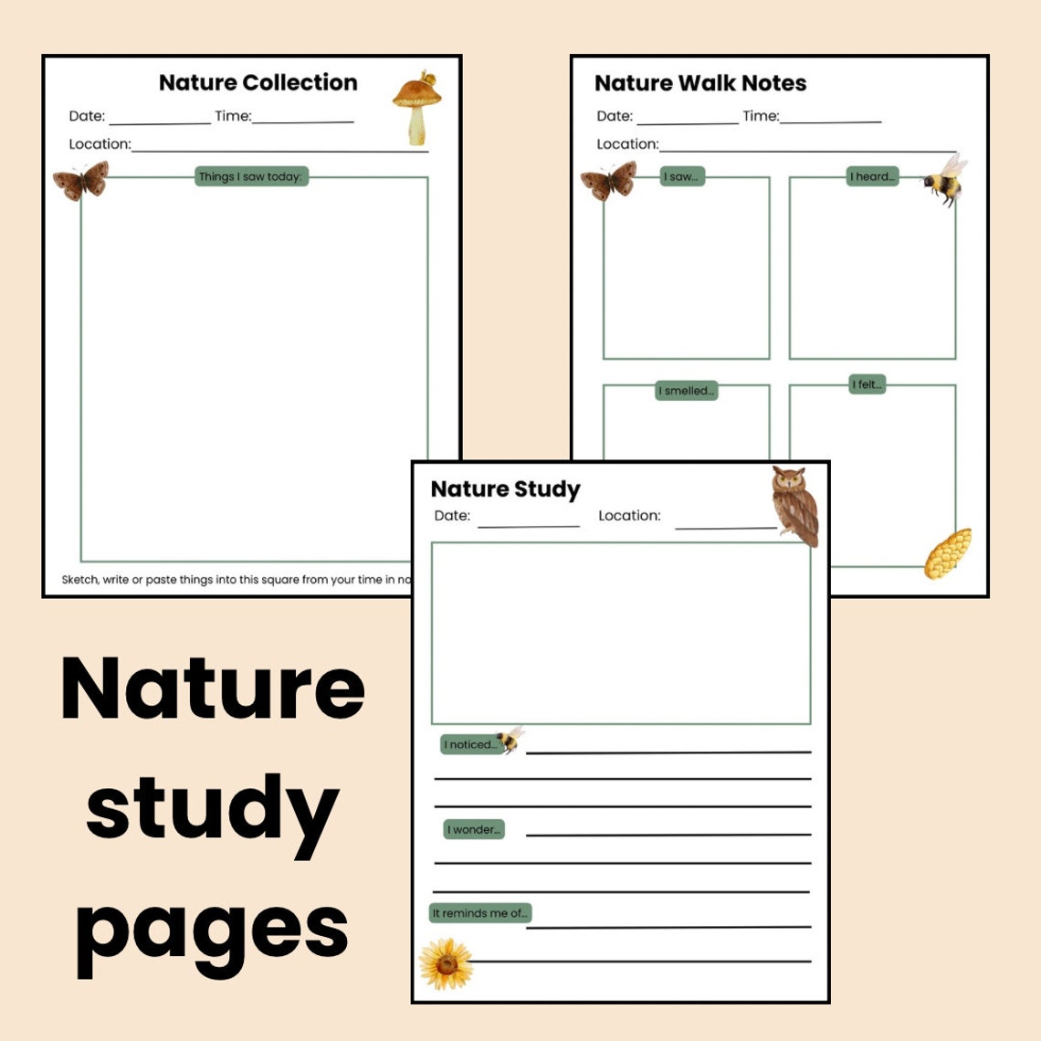 Printable Nature Journal for Kids Charlotte Mason Inspired Homeschool ...