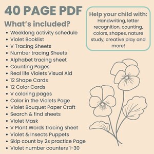 Violet Preschool Activity Sheets Bundle V is for Violet Letter Week ...