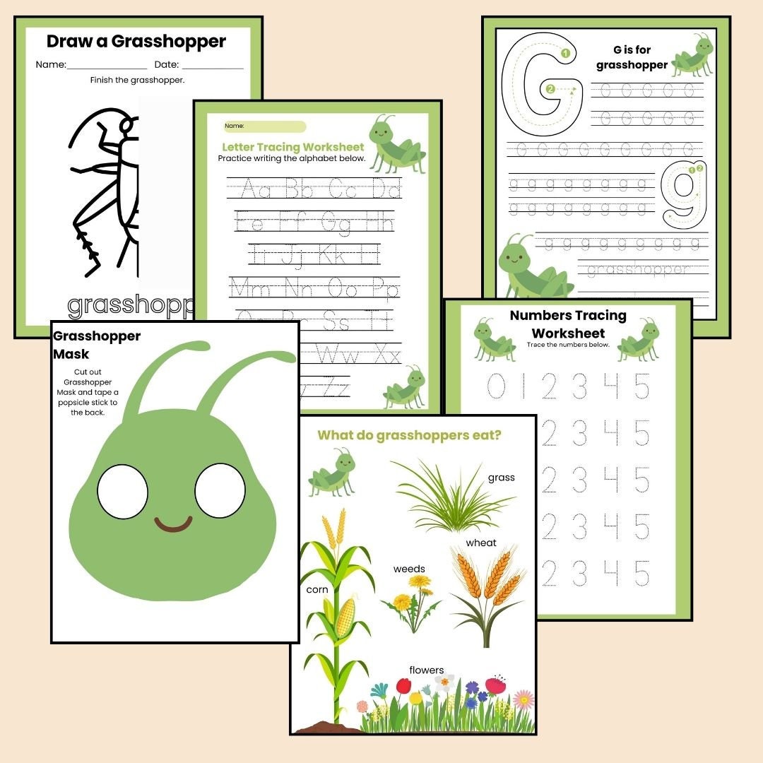 Preschool Activity Sheets G is for Grasshopper Pre K Learning Bundle ...