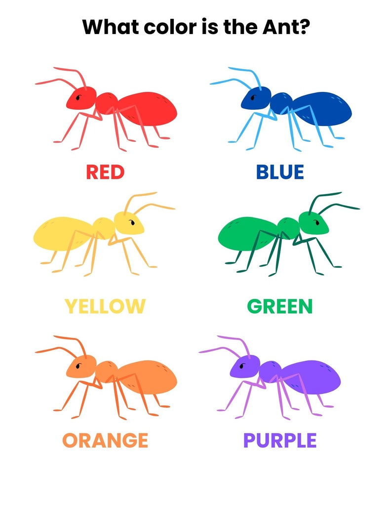 A Preschool Activity Pack A is for Ant Learning Bundle Preschool ...