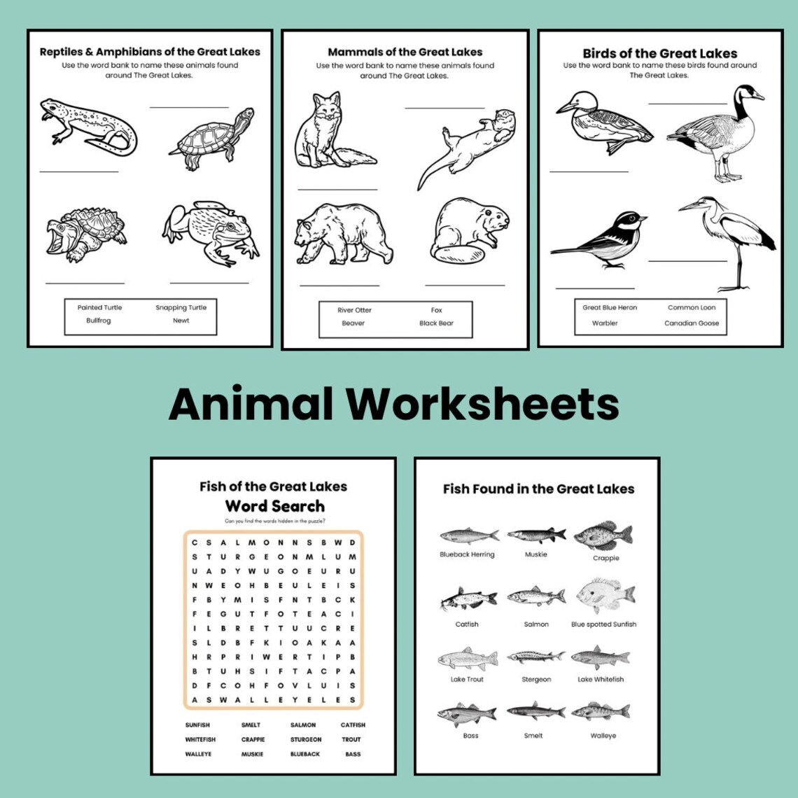 Great Lakes Worksheets and Note Pages North American Great Lakes ...