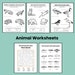 Great Lakes Worksheets and Note Pages North American Great Lakes ...