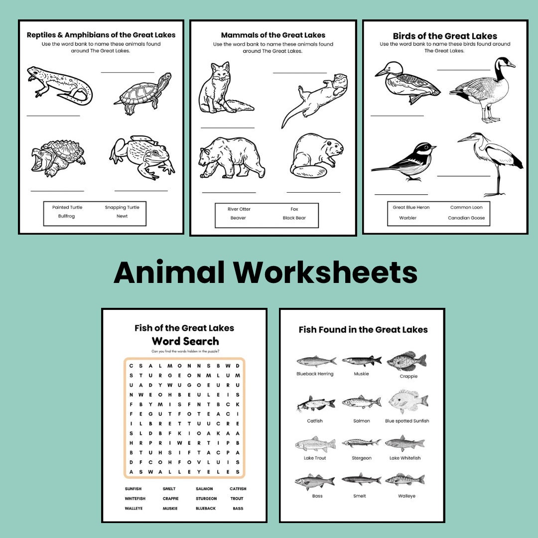 Great Lakes Worksheets and Note Pages North American Great Lakes ...
