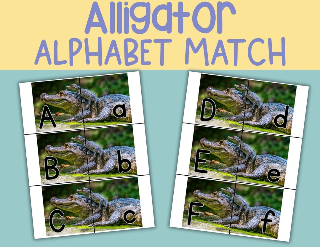 Alligator Alphabet Matching Game: ABC Learning Cards Montessori - Etsy
