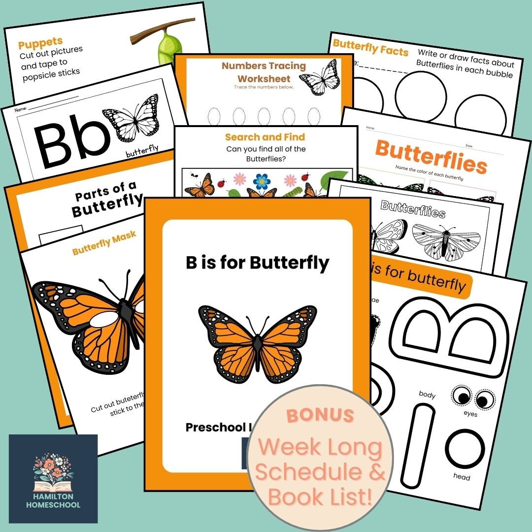 Butterfly Preschool Activity Sheets B is for Butterfly Pre-k Workbook ...