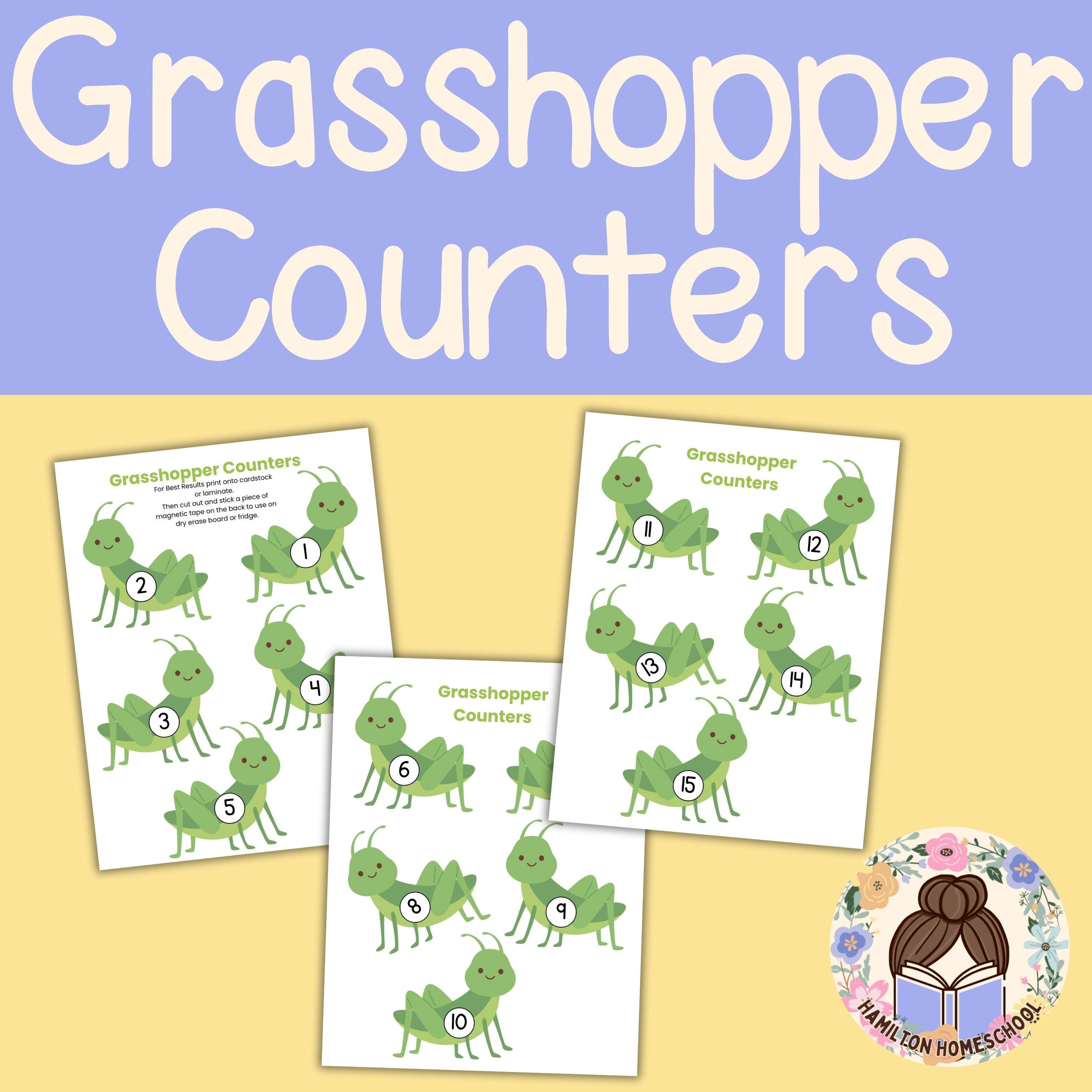 Preschool Activity Sheets G is for Grasshopper Pre K Learning Bundle ...