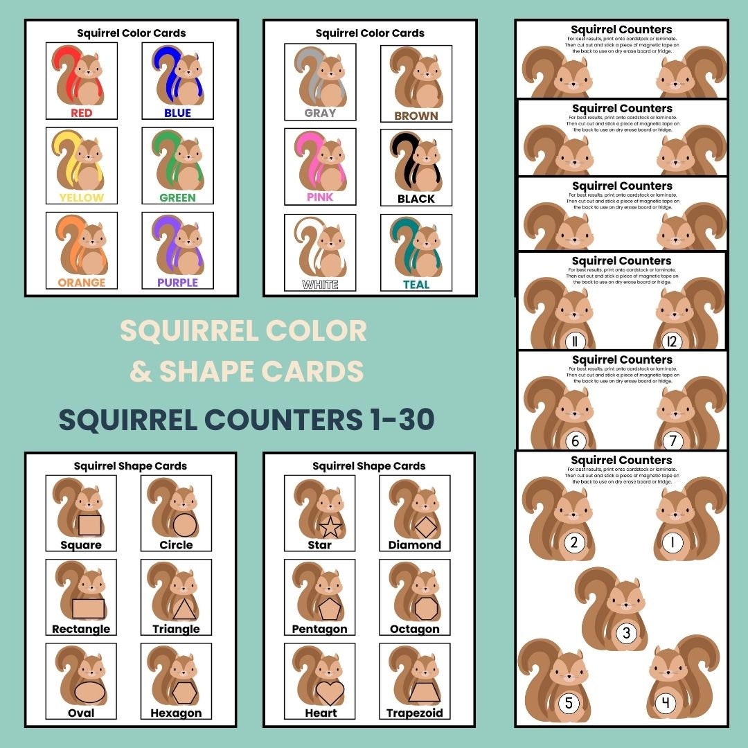 Squirrel Preschool Activity Sheet Bundle Kindergarten Worksheets S Week ...