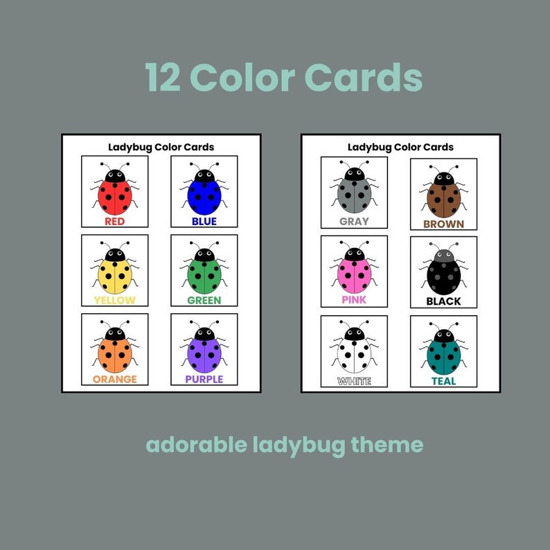 Ladybug Preschool Activity Sheets L is for Ladybug Kindergarten ...