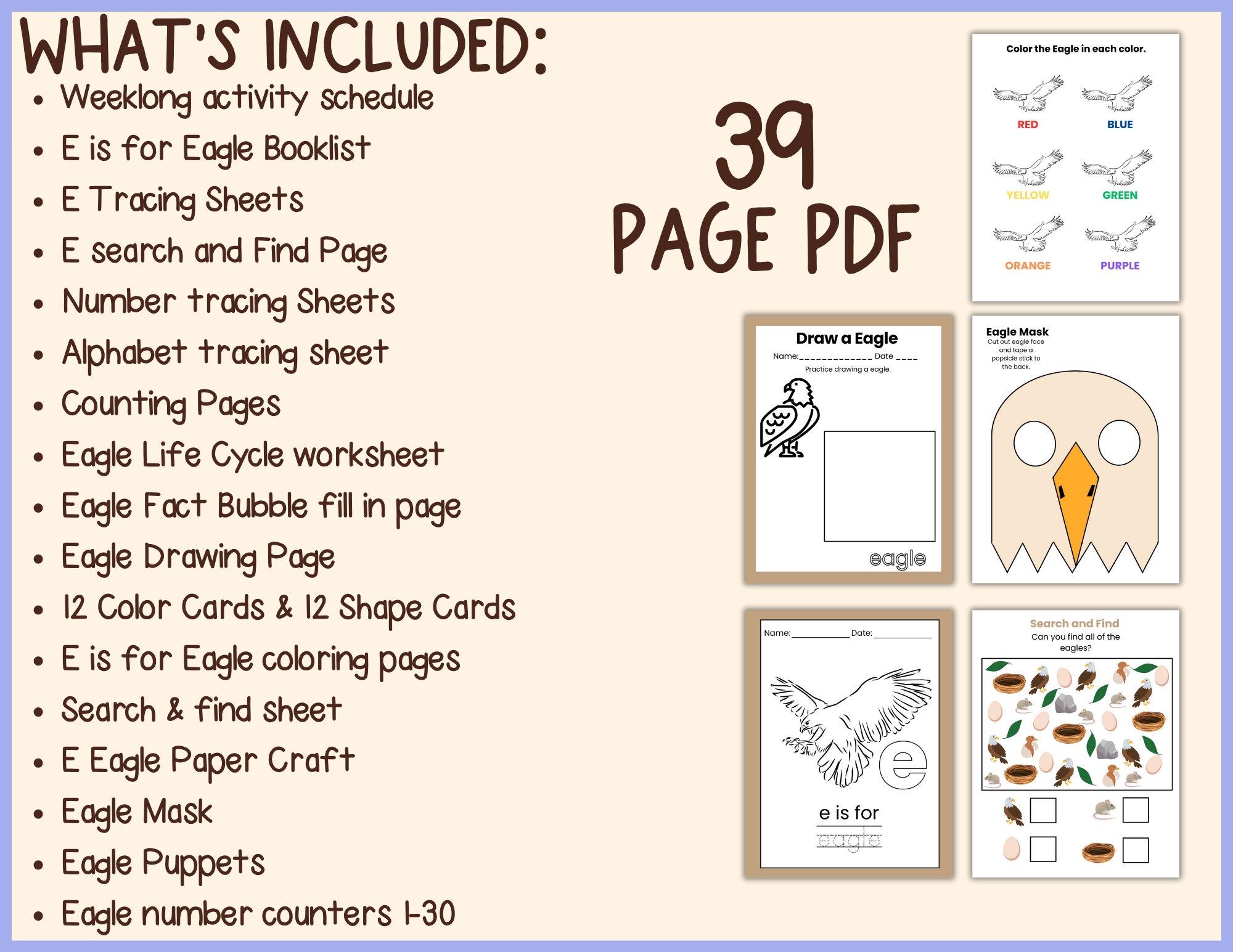 E is for Eagle Preschool Learning Pack Pre-k Homeschool Workbook ...
