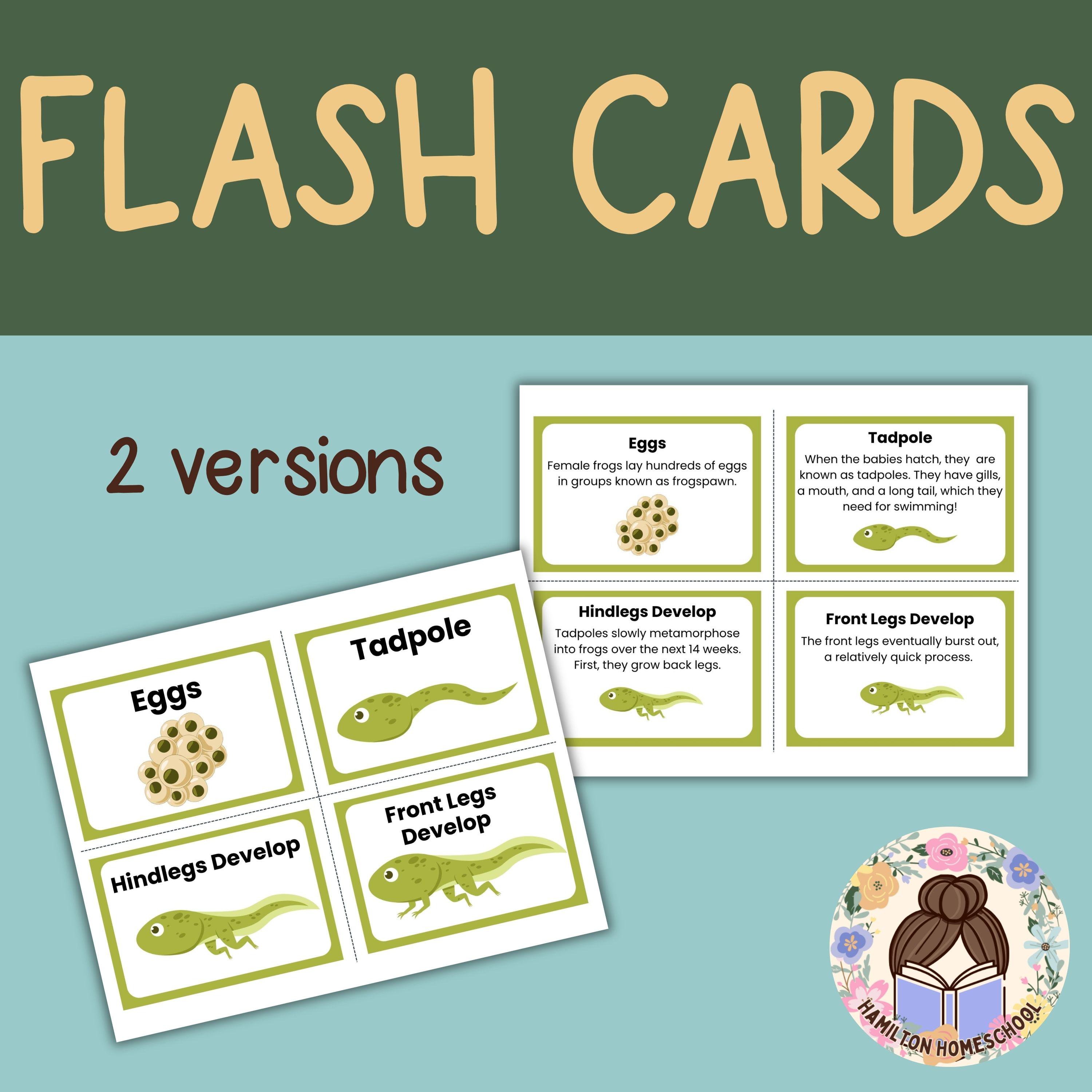 Frog Life Cycle Bundle Worksheet and Cards Cut & Paste Activity Flash ...