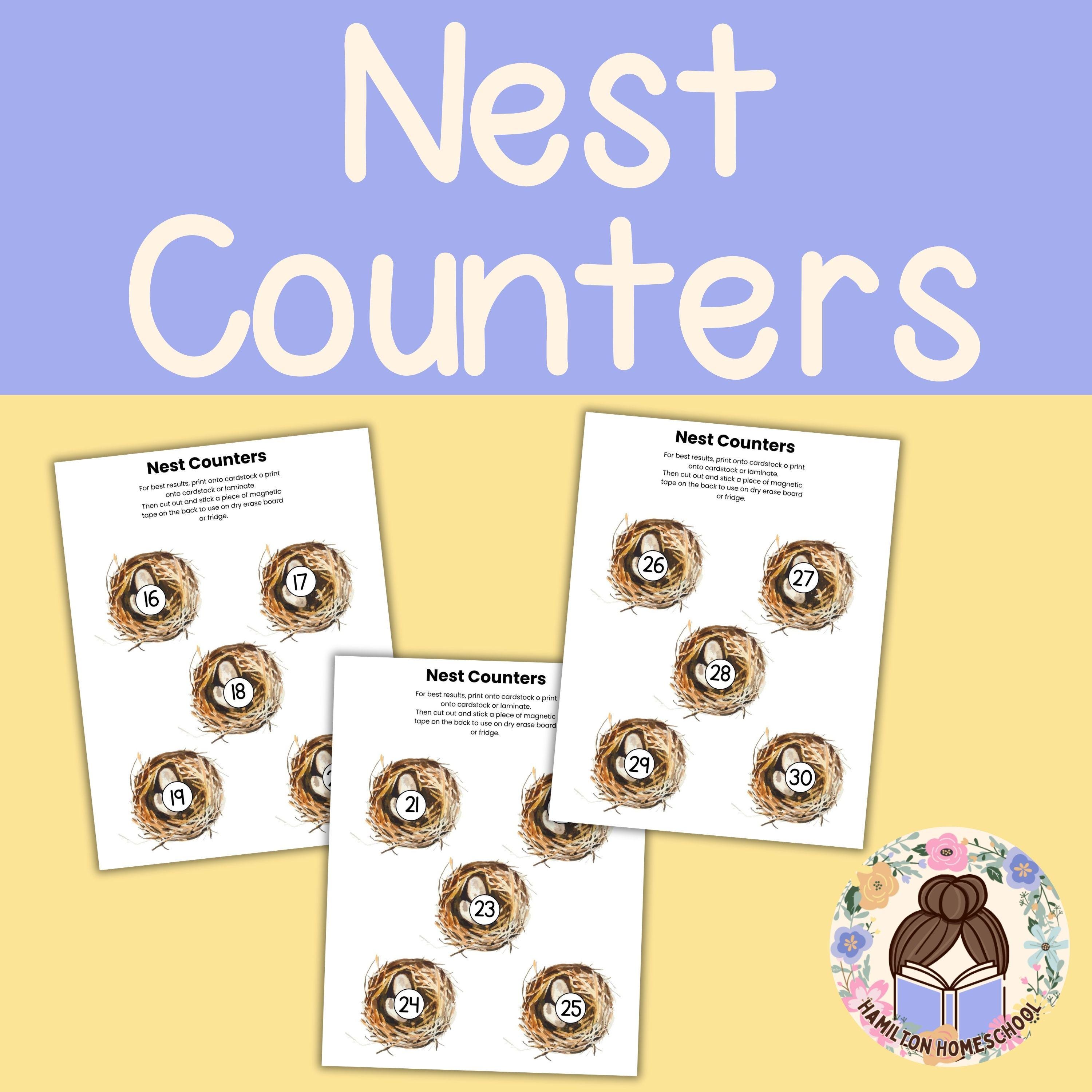 Nest Activity Sheet Bundle: Preschool Homeschool Curriculum (printable ...