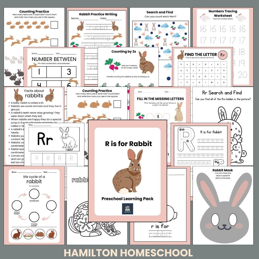 Rabbit Preschool Activity Sheet Bundle R is for Rabbit Worksheets Pre-k ...