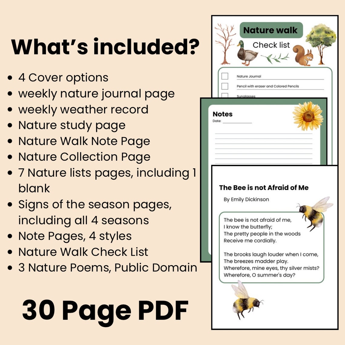 Printable Nature Journal for Kids Charlotte Mason Inspired Homeschool ...