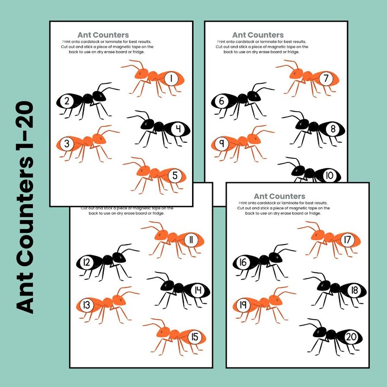 A Preschool Activity Pack A is for Ant Learning Bundle Preschool ...