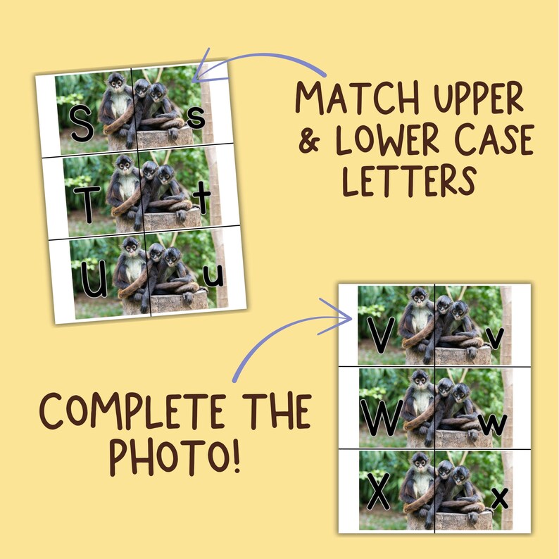 Spider Monkey Alphabet Matching Game: ABC Learning Cards Montessori - Etsy