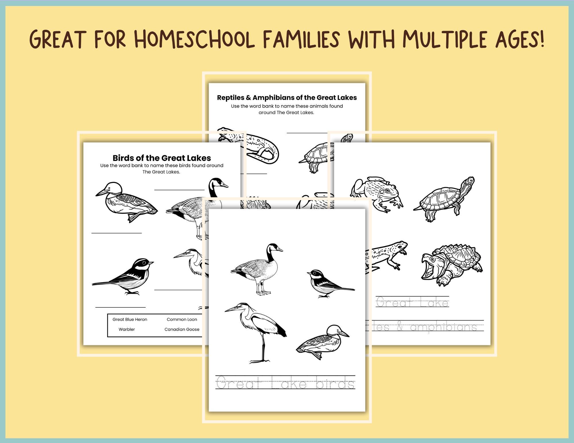 Great Lakes Worksheets and Note Pages North American Great Lakes ...
