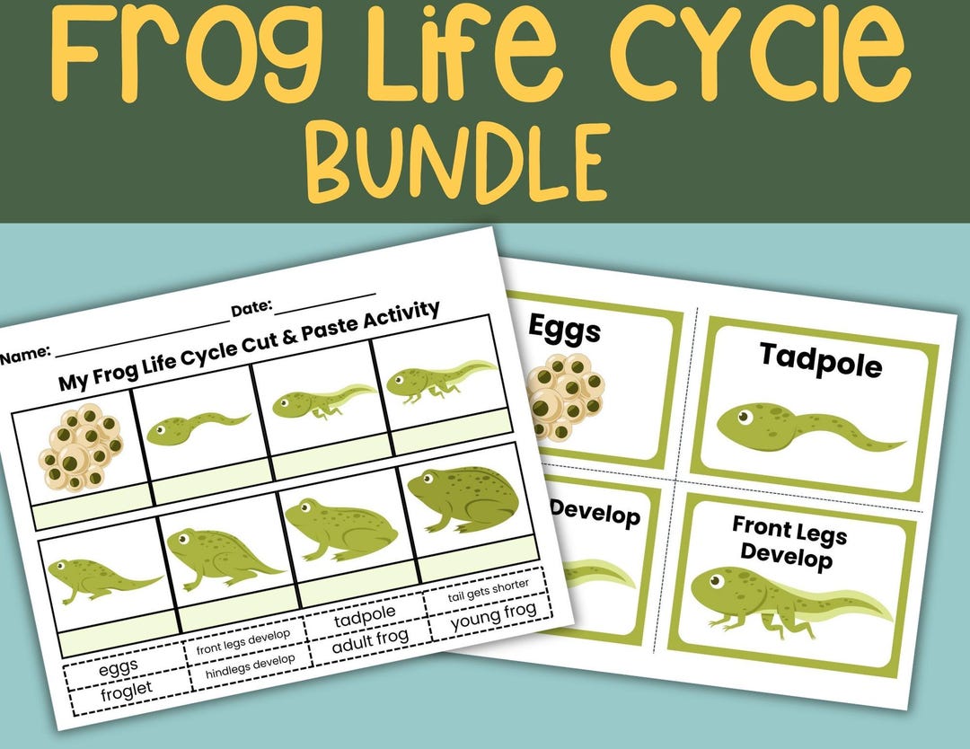 Frog Life Cycle Bundle Worksheet and Cards Cut & Paste Activity Flash ...