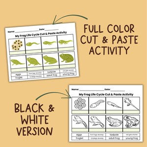 Frog Life Cycle Bundle Worksheet and Cards Cut & Paste Activity Flash ...