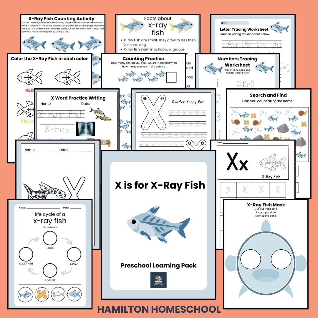X-ray Fish Preschool Kindergarten Activity Sheets Bundle X is for X-ray ...