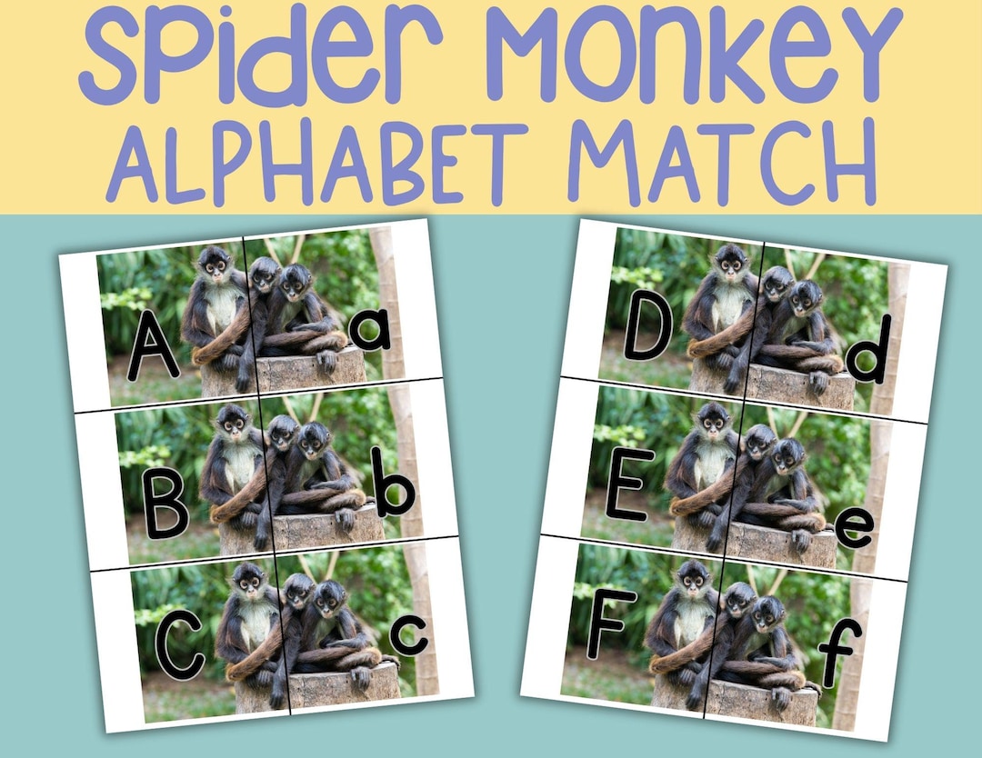 Spider Monkey Alphabet Matching Game: ABC Learning Cards Montessori - Etsy