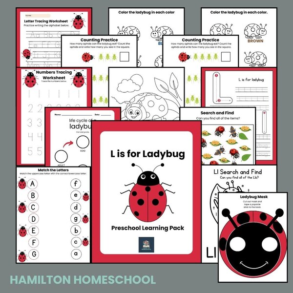 L is for Ladybug - Etsy