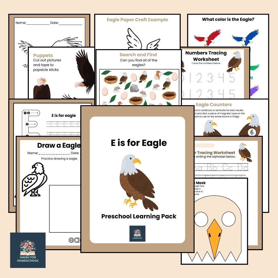 E is for Eagle Preschool Learning Pack Pre-k Homeschool Workbook ...