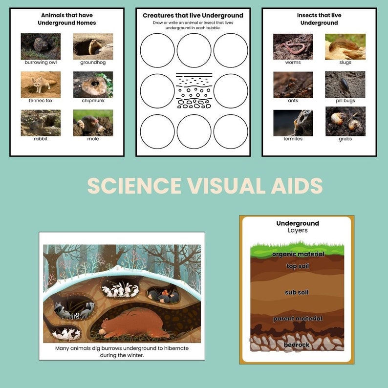 Underground Preschool Activity Sheets Letter U Week Kindergarten Pre-k ...