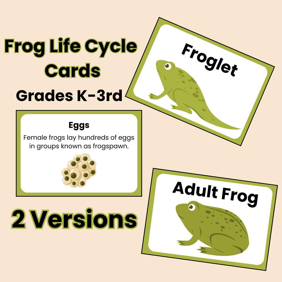Frog Life Cycle Cards Homeschool Kindergarten- 3rd Grade Flash Cards ...