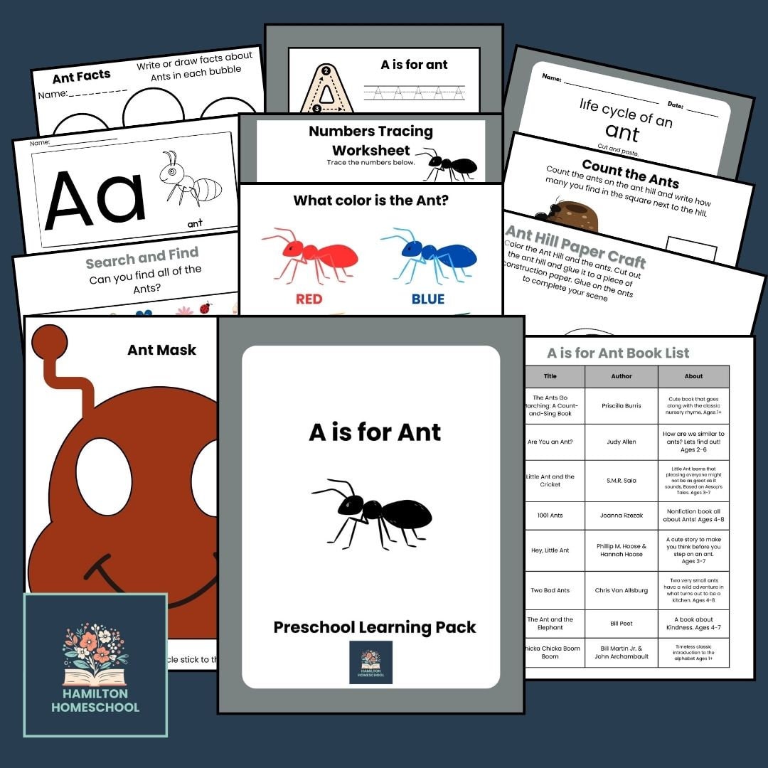 Preschool Activity Pack A is for Ant Learning Bundle Preschool ...