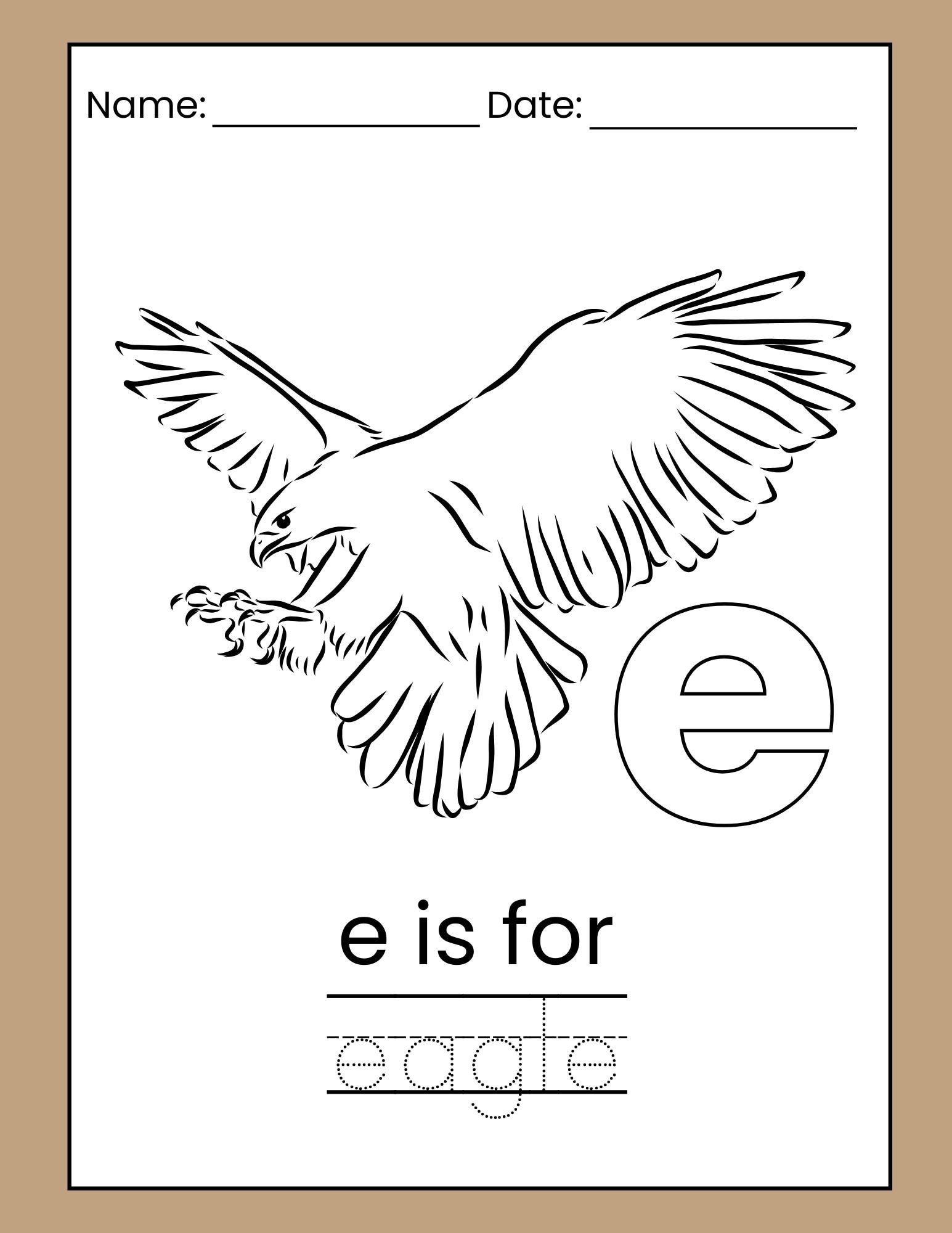 E is for Eagle Preschool Learning Pack Pre-k Homeschool Workbook ...