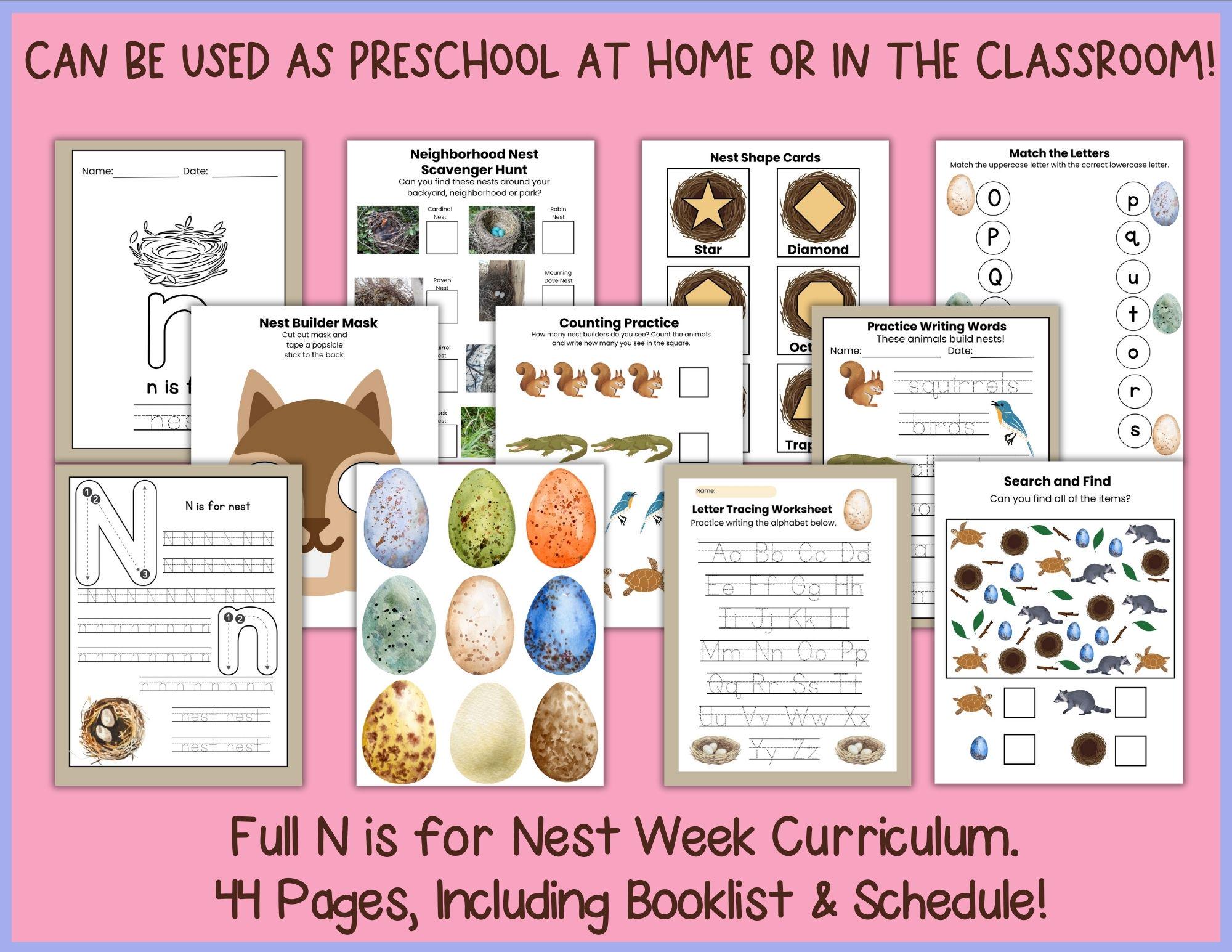 Nest Activity Sheet Bundle: Preschool Homeschool Curriculum (printable ...