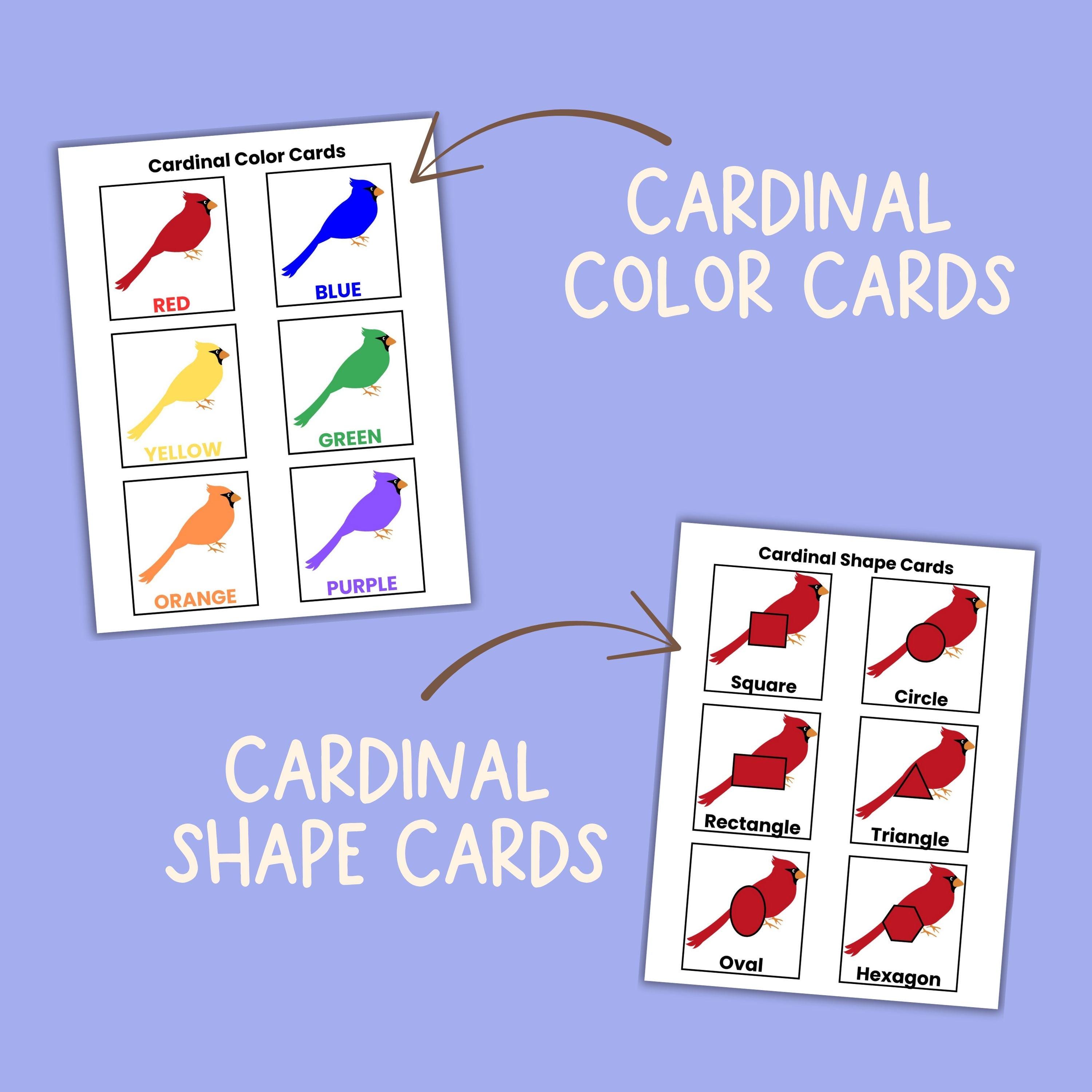 Cardinal Preschool Learning Pack: Abcs, Counting, Life Cycle (PDF ...