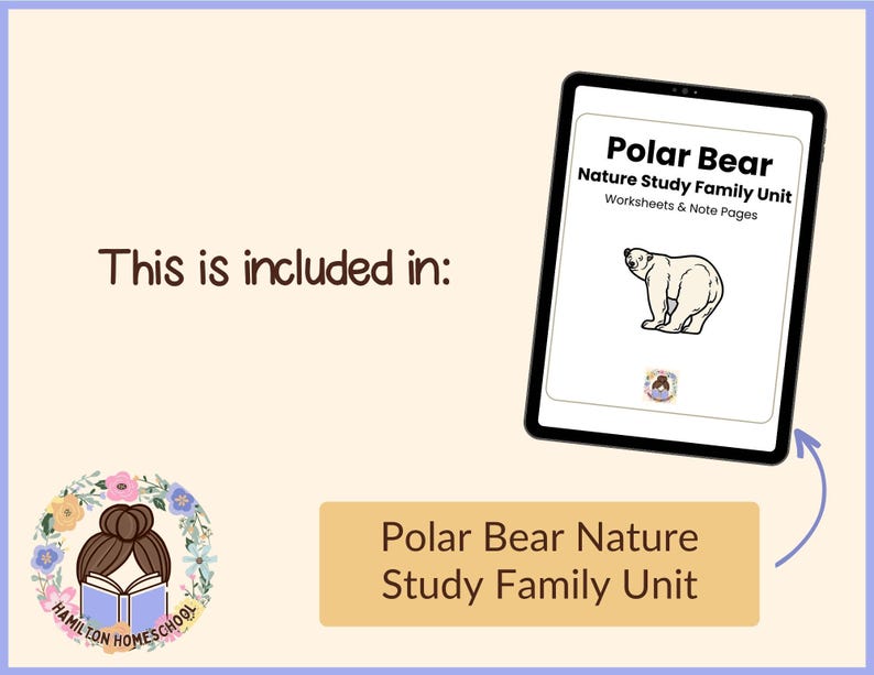 Polar Bear Alphabet Matching Game: ABC Learning Cards Montessori - Etsy