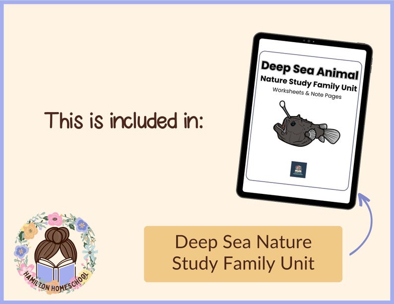 Deep Sea Animal Alphabet Matching Game: ABC Learning Cards Montessori ...