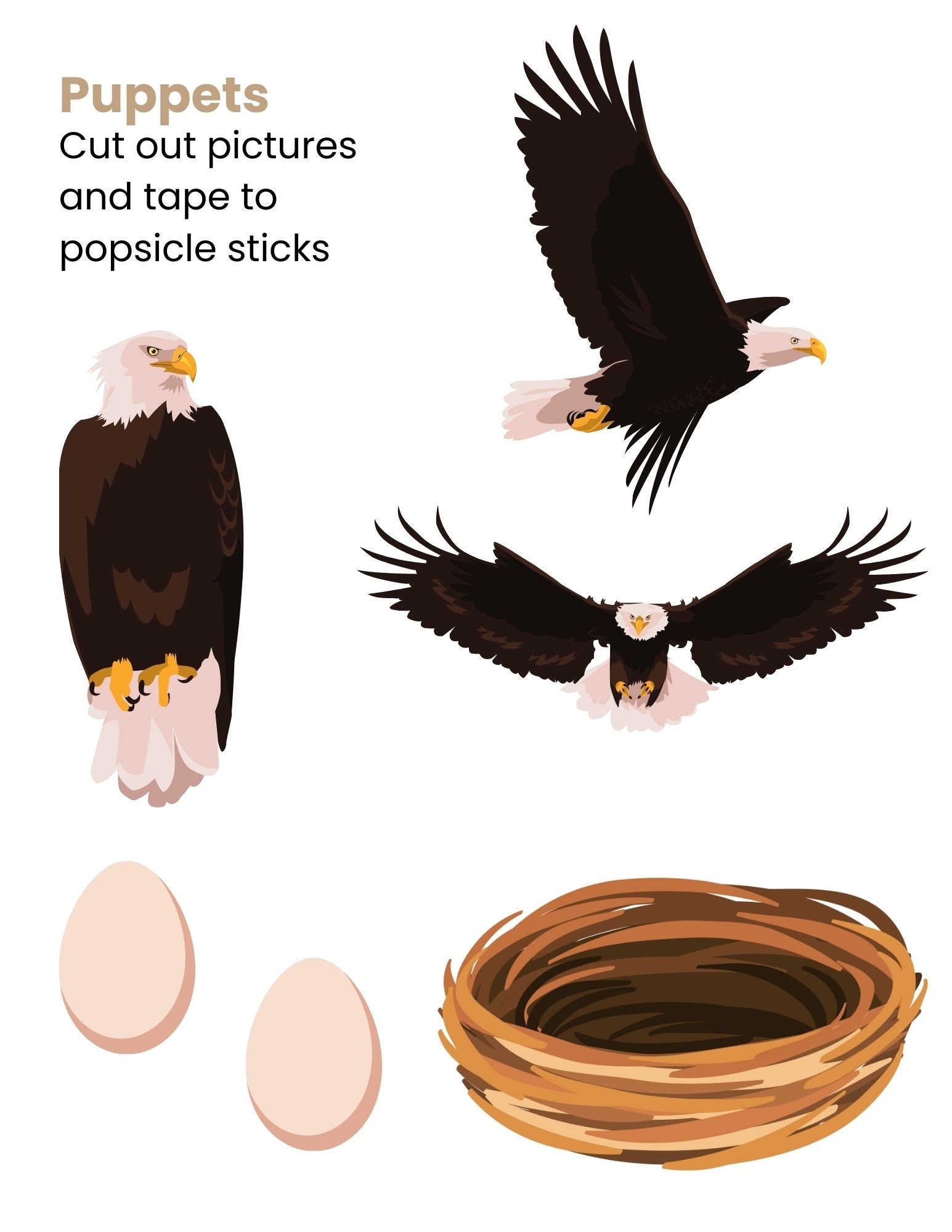 E is for Eagle Preschool Learning Pack Pre-k Homeschool Workbook ...
